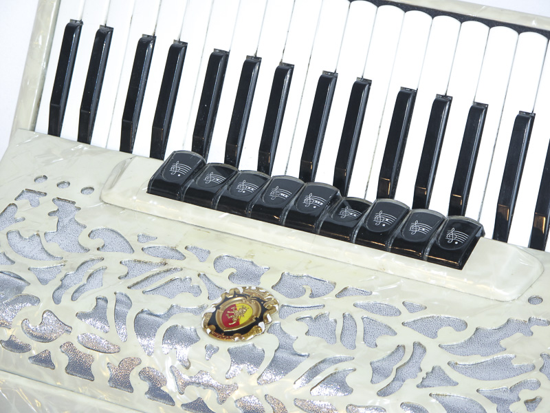 Marinucci Italian 120 bass white accordion